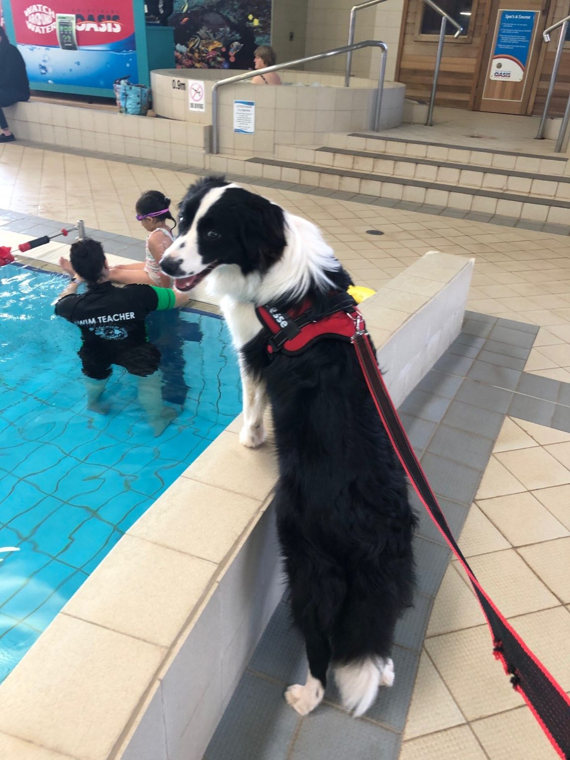 Student Wellbeing - Secret Harbour Primary School