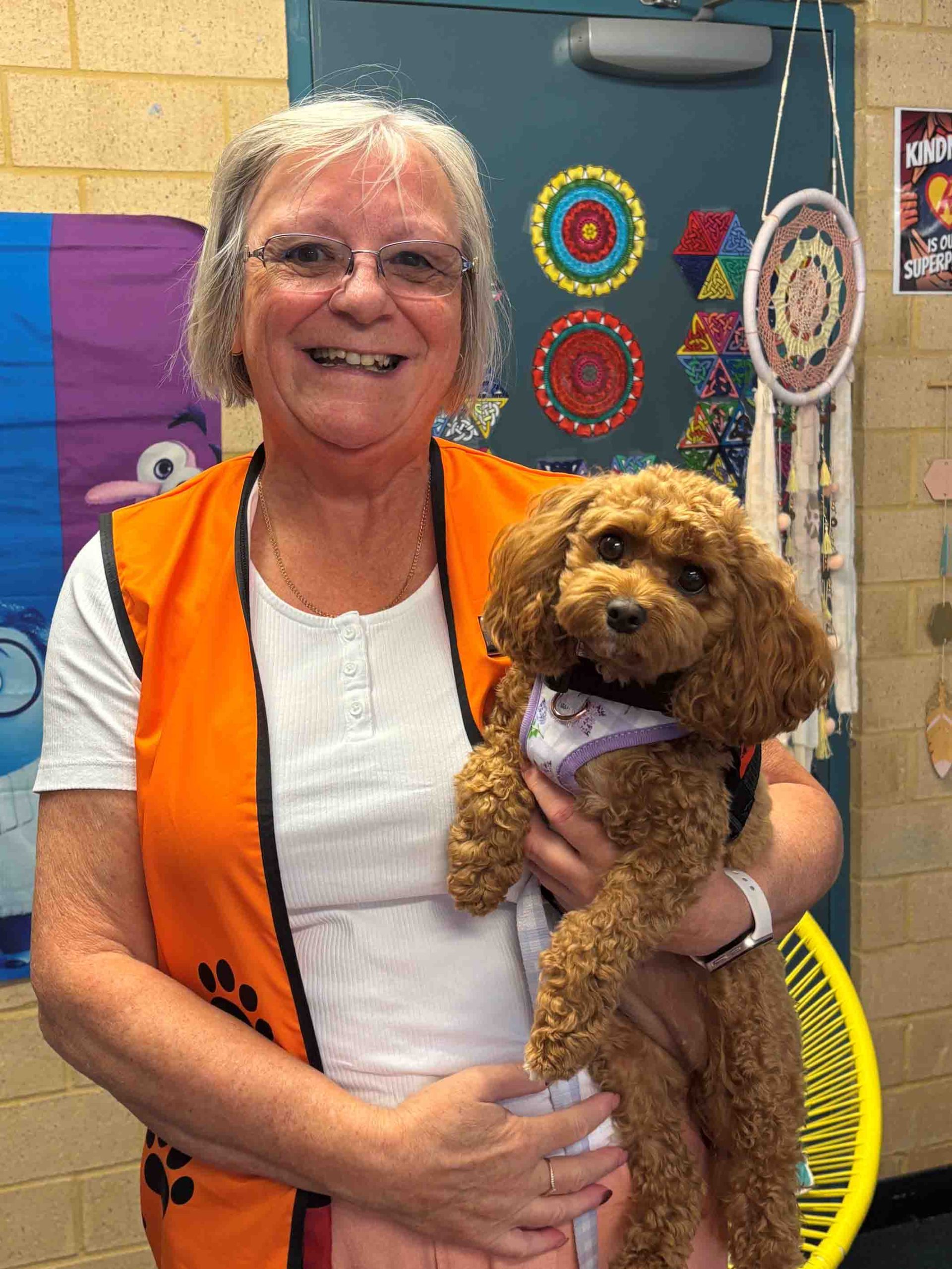 Student Wellbeing - Secret Harbour Primary School